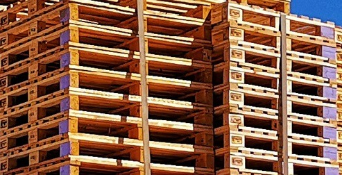 Pal Ex 1190-990-154 Kd 8s Pers F24 | Agrimark