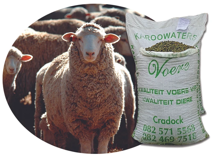 Karoowaters Sheep Finishing Pellets 50kg | Agrimark