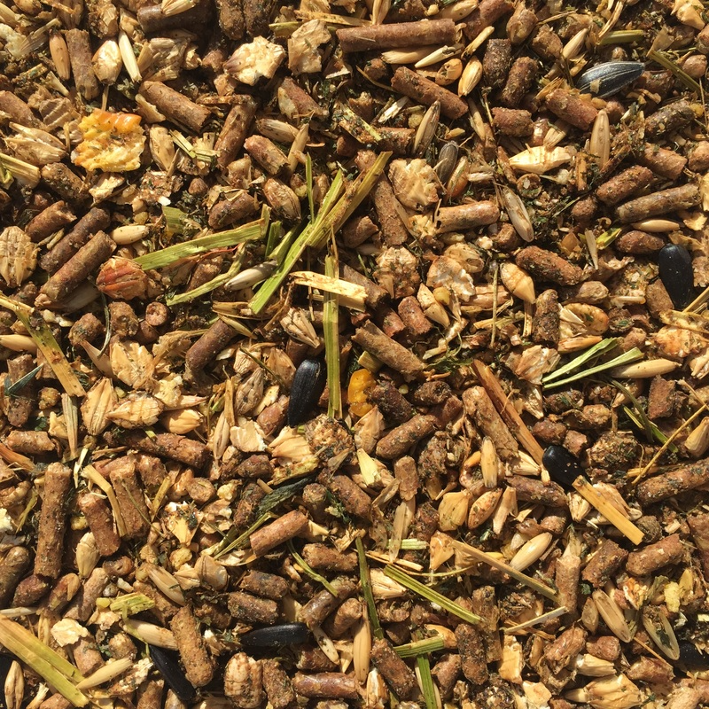 Equi-feeds Enduro Feed 12% Meal 40kg | Agrimark