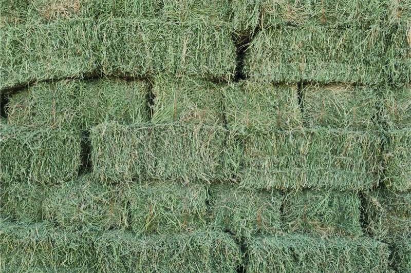 Manyano Lucerne Bale Square Gr 1 P/ Bale | Agrimark
