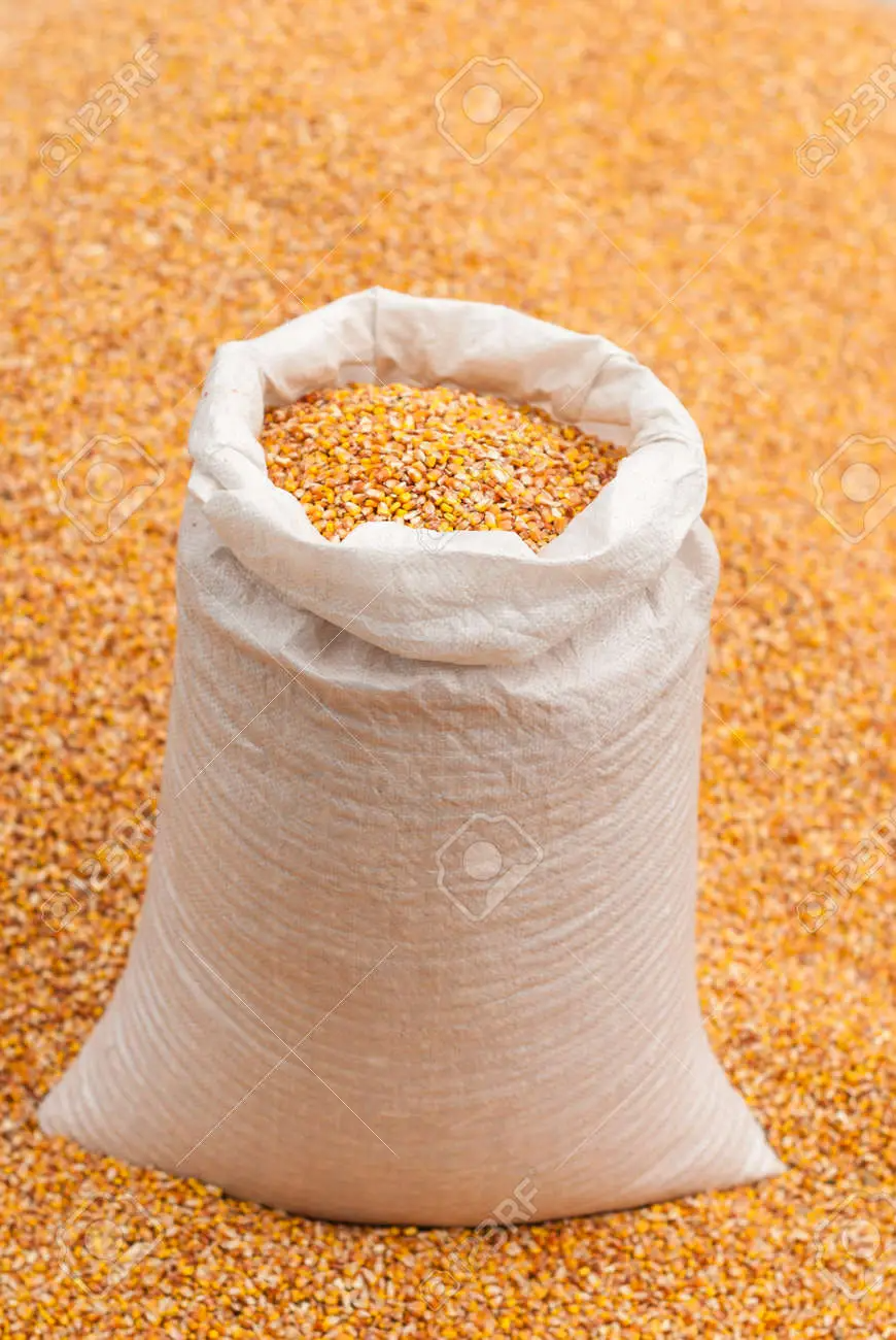 Malmesbury Silo Maize Yellow 50kg | Agrimark