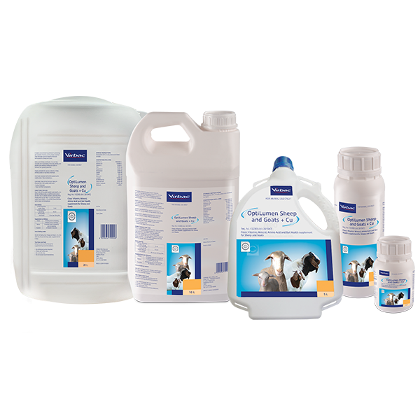 Virbac Optilumen Sheep & Goat + Cu 100ml | Agrimark