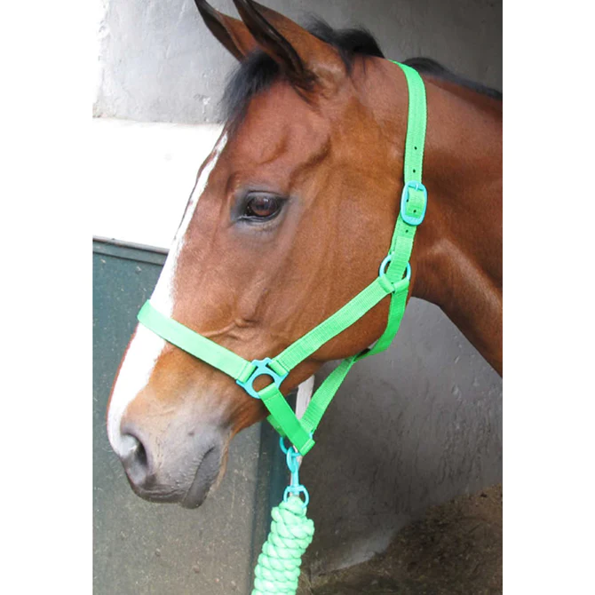 Solo Rope Halter + Lead | Agrimark