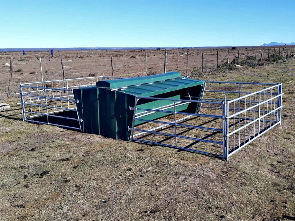 Creep Feeding Grid | Agrimark