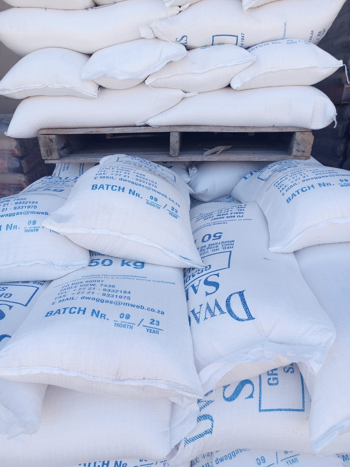 Dwaggas Salt Meduim Oven Dry 50kg | Agrimark