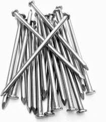 Ruwag Wire Nail 25x1.6mm (100g) | Agrimark