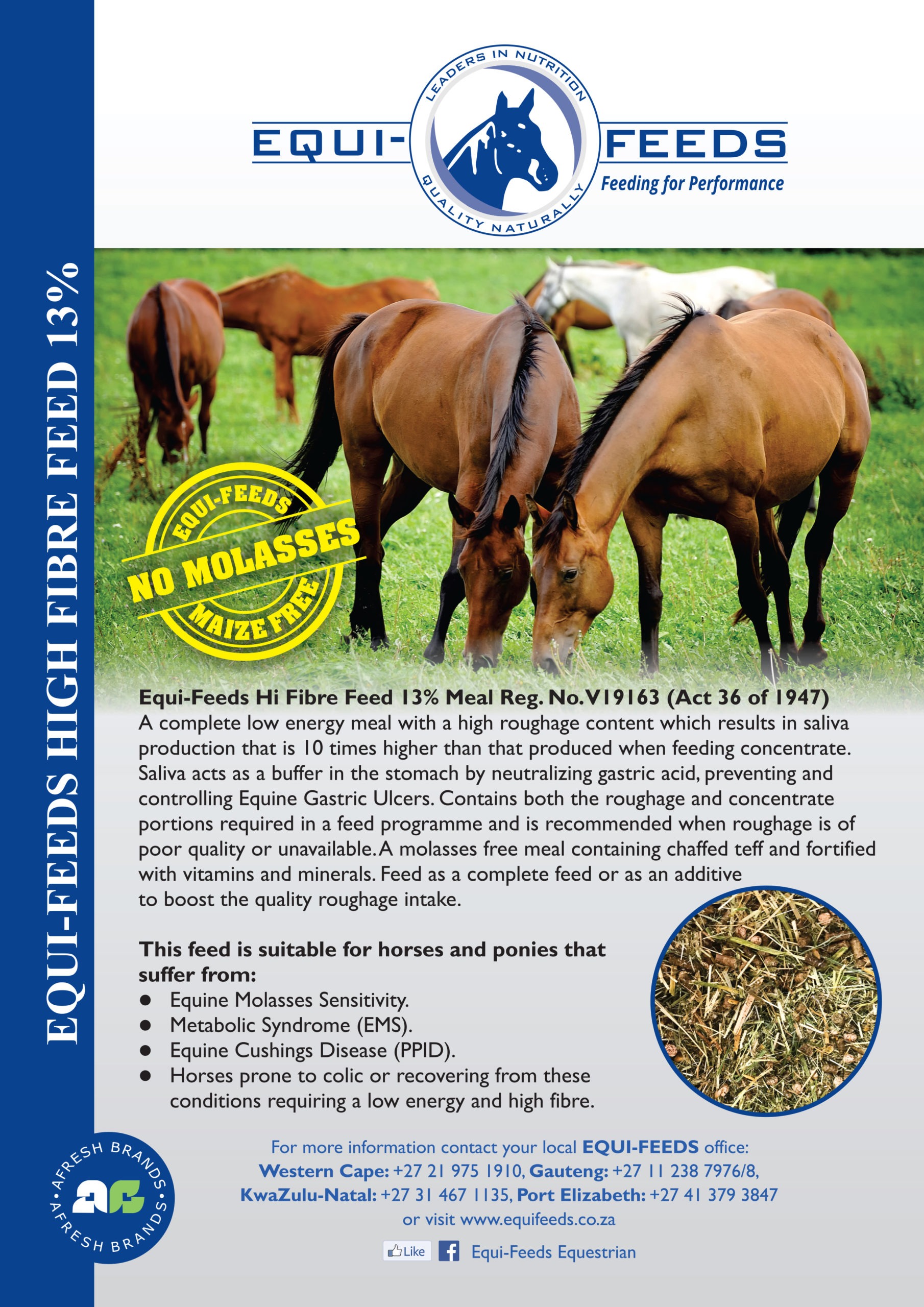 Equi-feeds Hi Fibre Feed 13% Meal 25kg | Agrimark