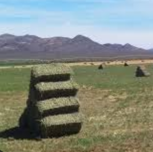 Lusern Prima Klein Bale 22/25kg | Agrimark