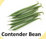 Asg Bean Contender Foil 20g | Agrimark