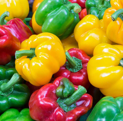 Asg Sweet Pepper California Wonder 100g | Agrimark