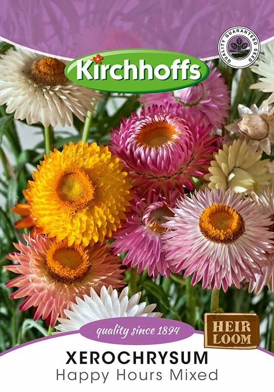 Kirchhoffs Helichrysum Happy Hours Mix | Agrimark