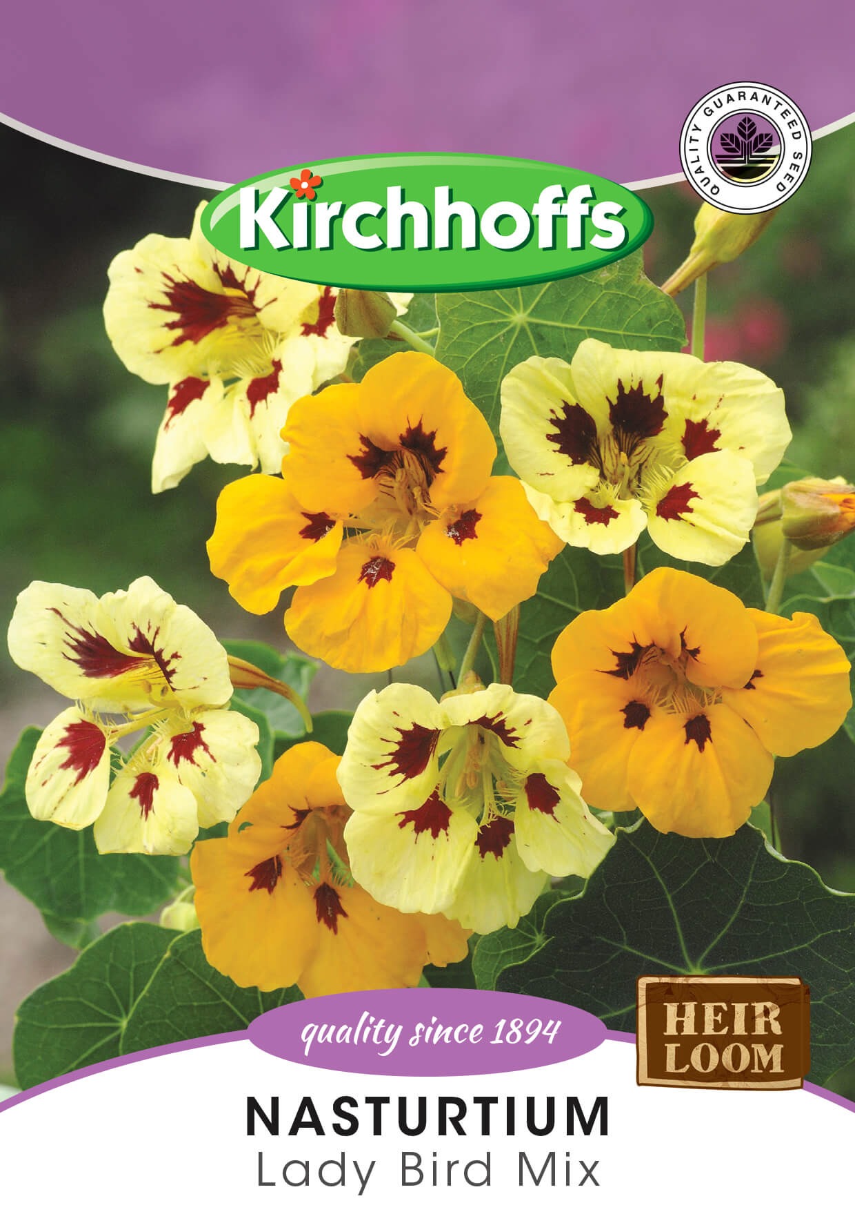 Kirchhoffs Nasturtium Lady Bird Mix | Agrimark