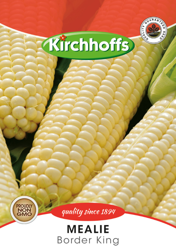 Kirchhoffs Mealies Border King | Agrimark