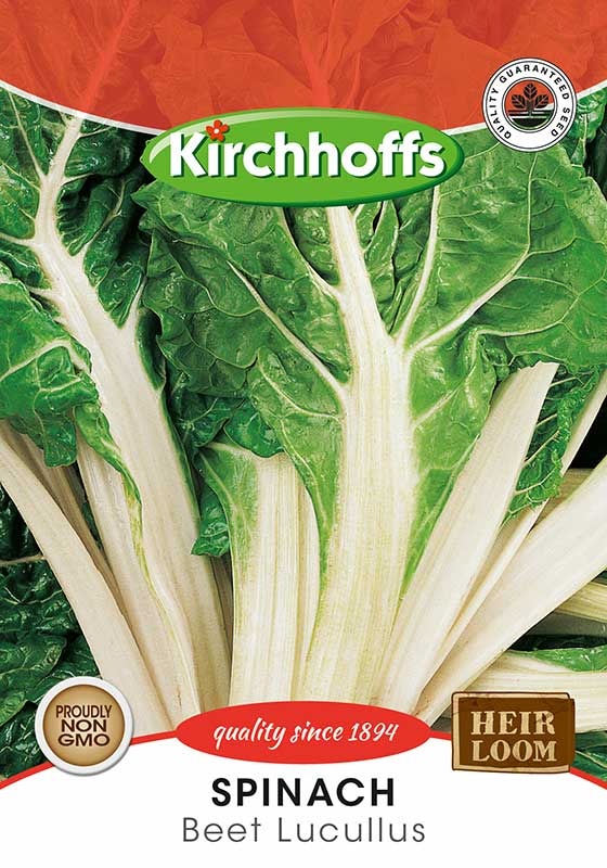 Kirchhoffs Spinach Beet Lucullus | Agrimark