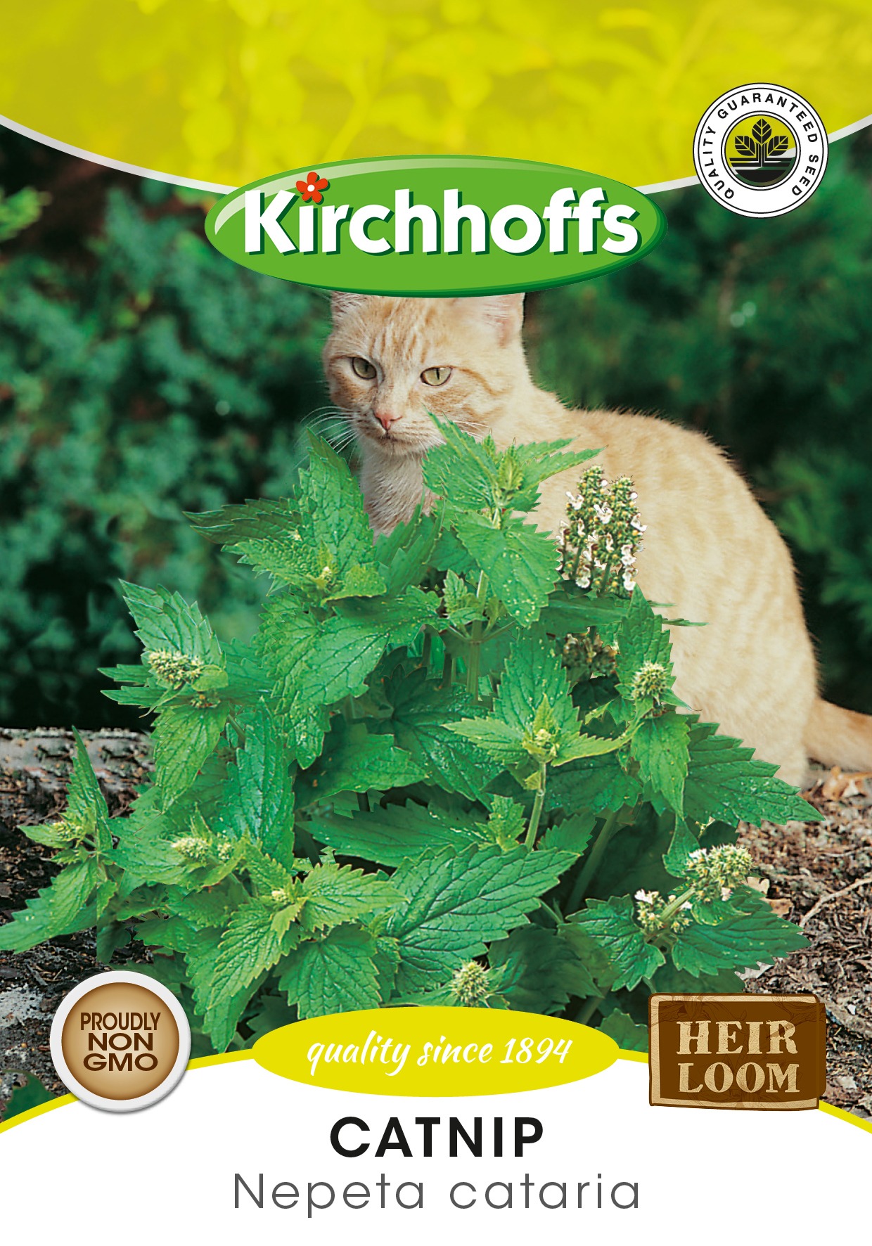 Kirchhoffs Catnip | Agrimark