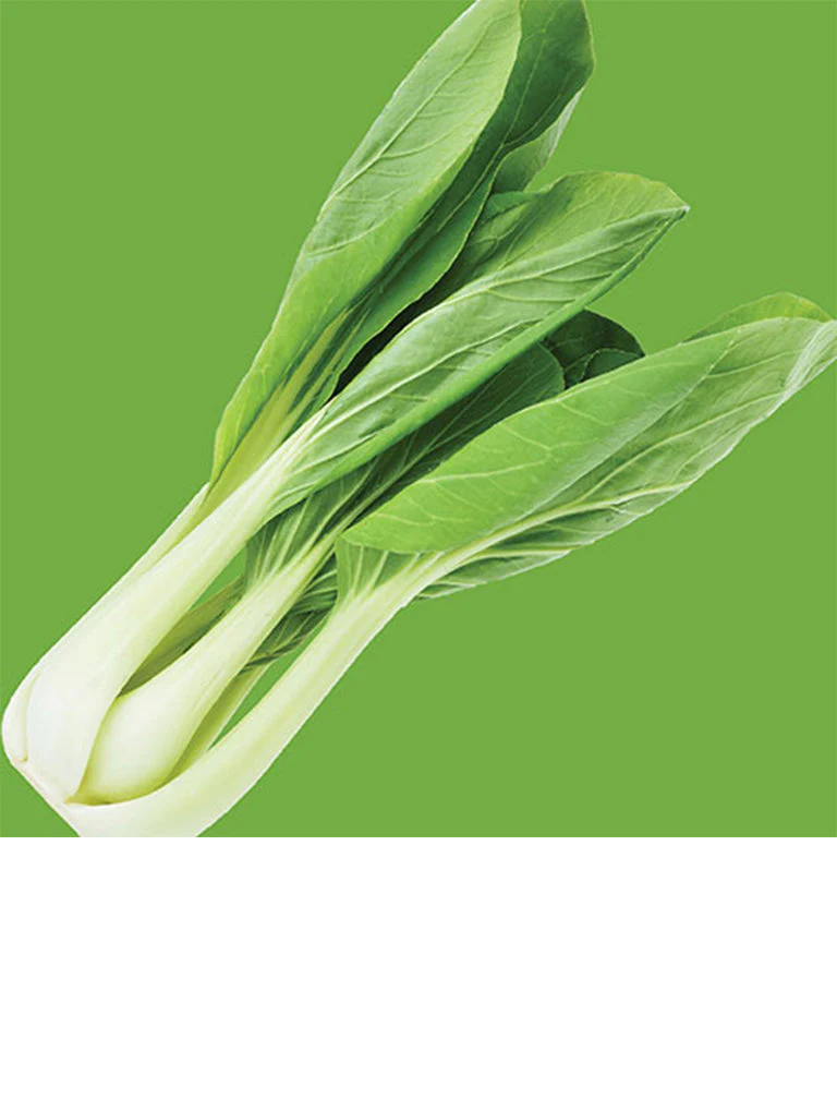 Kirchhoffs Cabbage Pak Choy | Agrimark