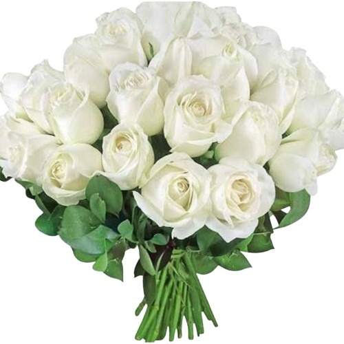 Freshmark Flower Rose White Bunch Each | Agrimark
