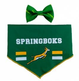 Dog's Life Bow Tie Springboks | Agrimark