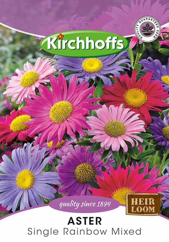 Kirchhoffs Aster Single Rainbow Mix | Agrimark