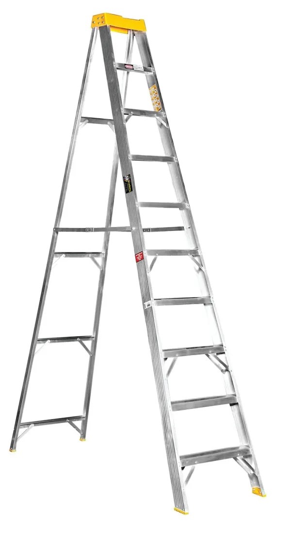 Academy Ladder Aluminium 10 Step 3m | Agrimark