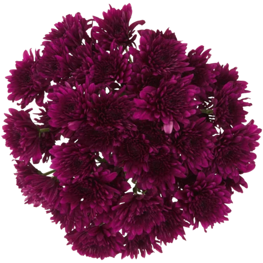 Freshmark Fresh Bunch | Agrimark