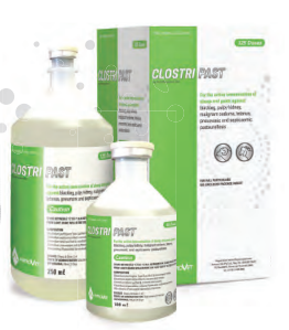 Antrovet Clostri Past 250ml | Agrimark