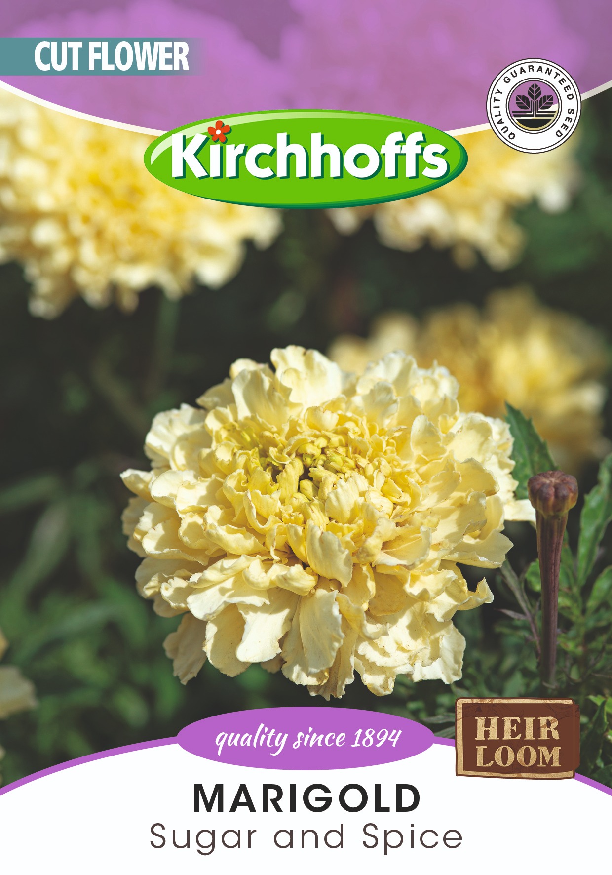 Kirchhoffs Marigold Sugar And Spice | Agrimark
