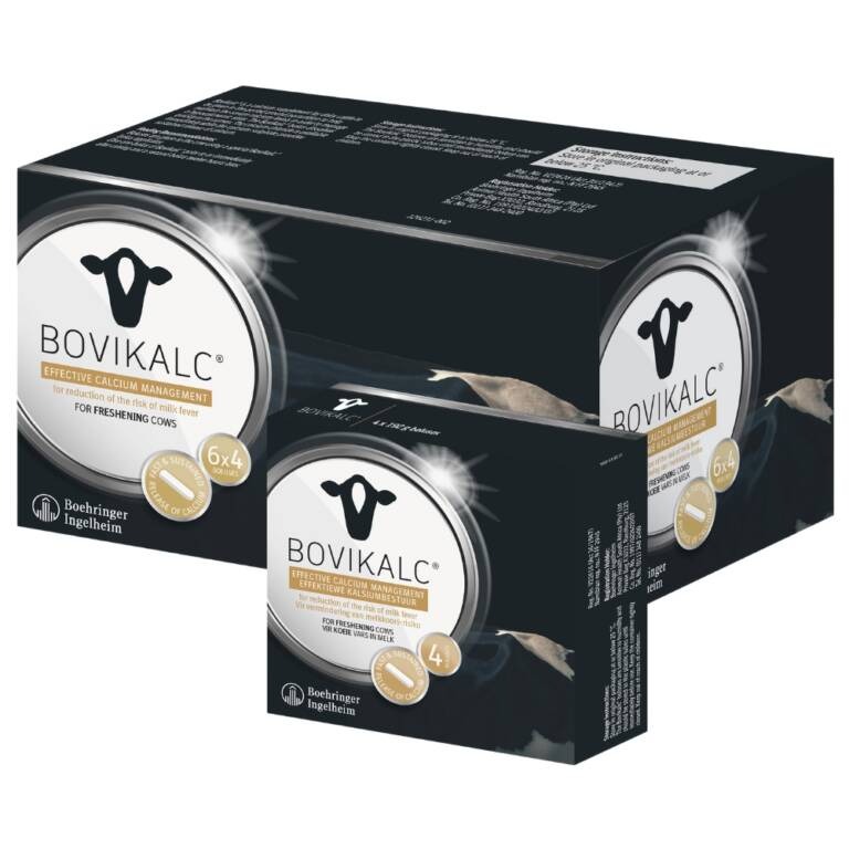 Swavet Bovikalc 4 Capsules | Agrimark