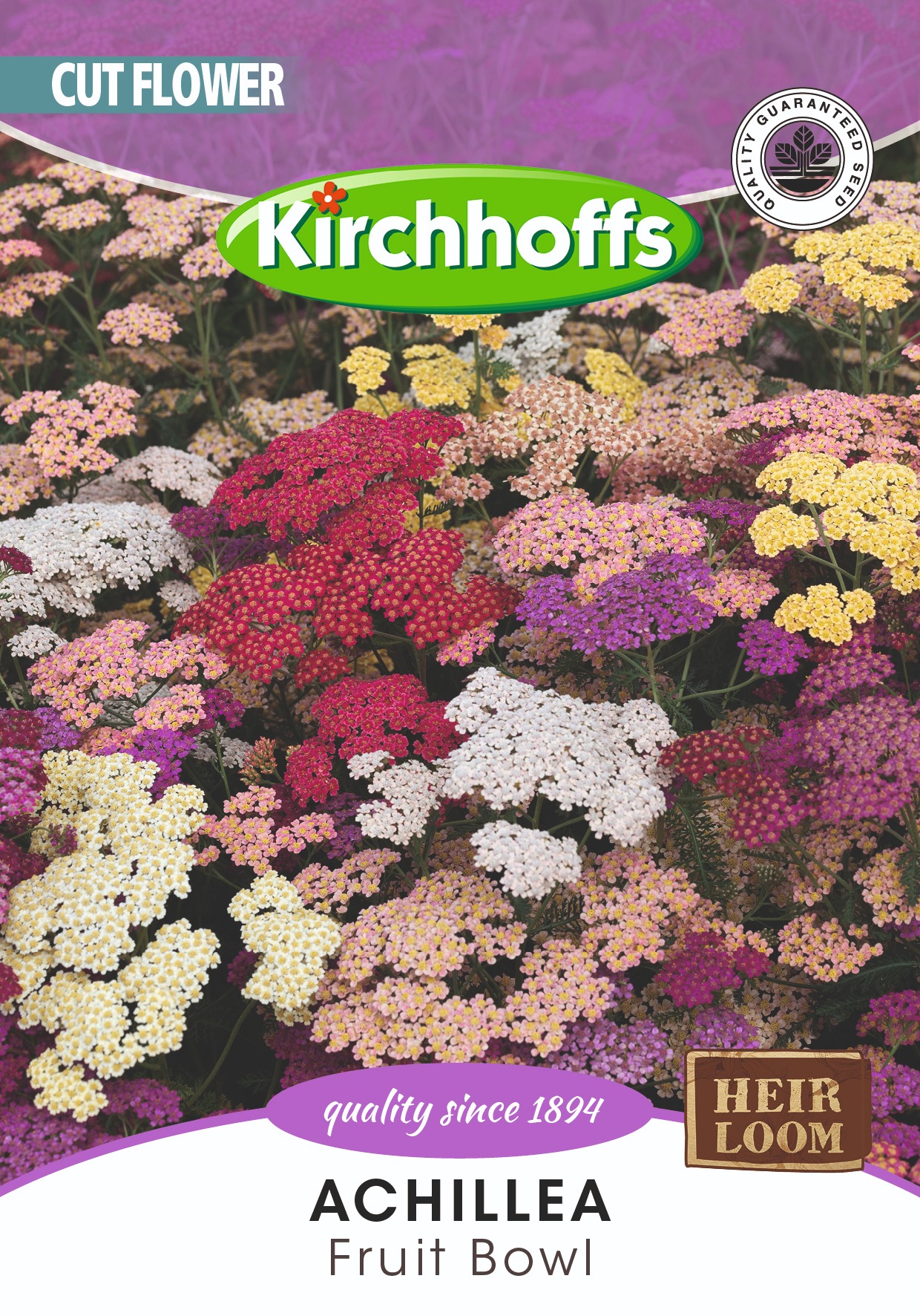 Kirchhoffs Achillea Flower Burst Mix | Agrimark