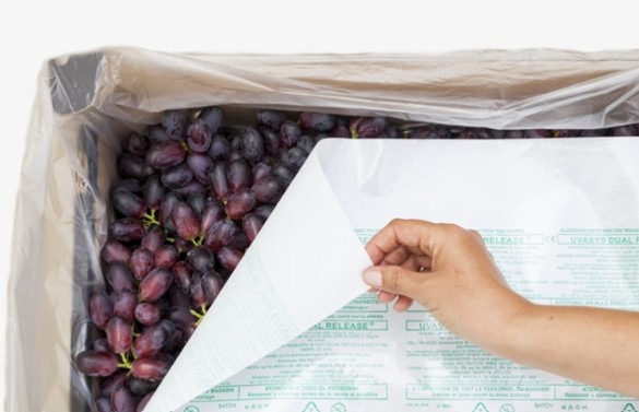 Amec Grape Sheet Mx/uv Wht 1.5x500 40mic | Agrimark