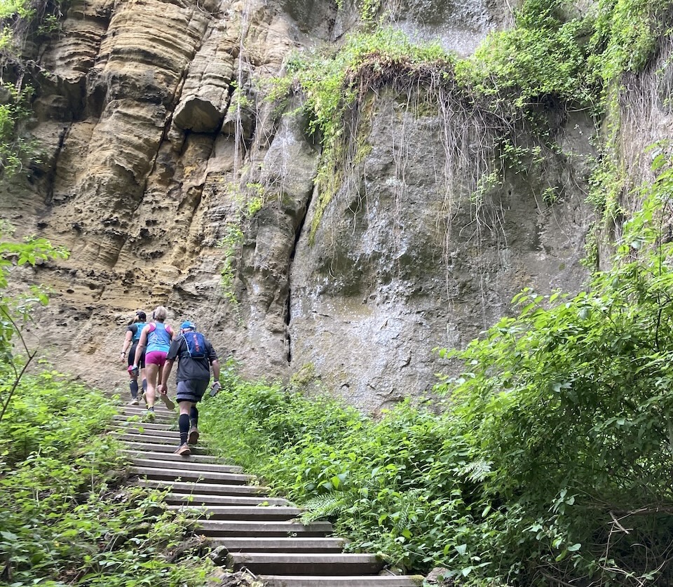 Your Questions Answered About the Year of Magic Course🔮🪄 | Step One