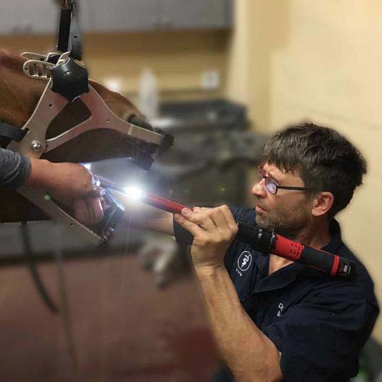 Terafloat tannrasp Akselsens Agenturer A/S