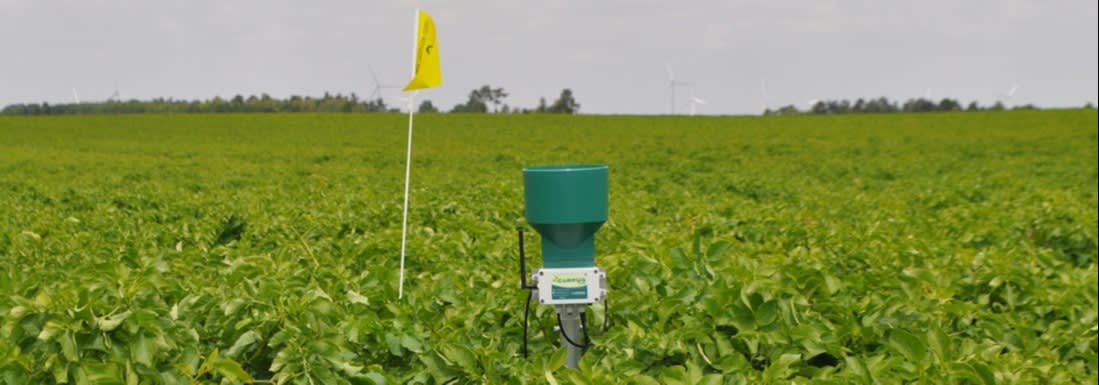 La sonde capacitive pour l'irrigation des cultures | Farmi