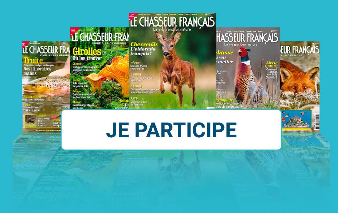 Gagnez 1 an d'abonnement au Chasseur Français avec aladin.farm | Aladin ...