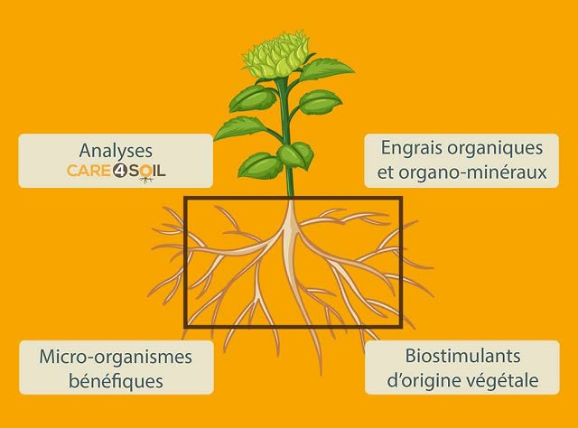 Tout savoir sur les engrais organiques