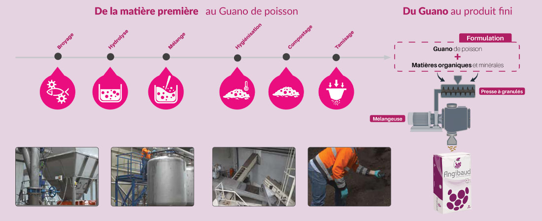 Le Guano de poisson, une matière première exceptionnelle pour la vie du ...
