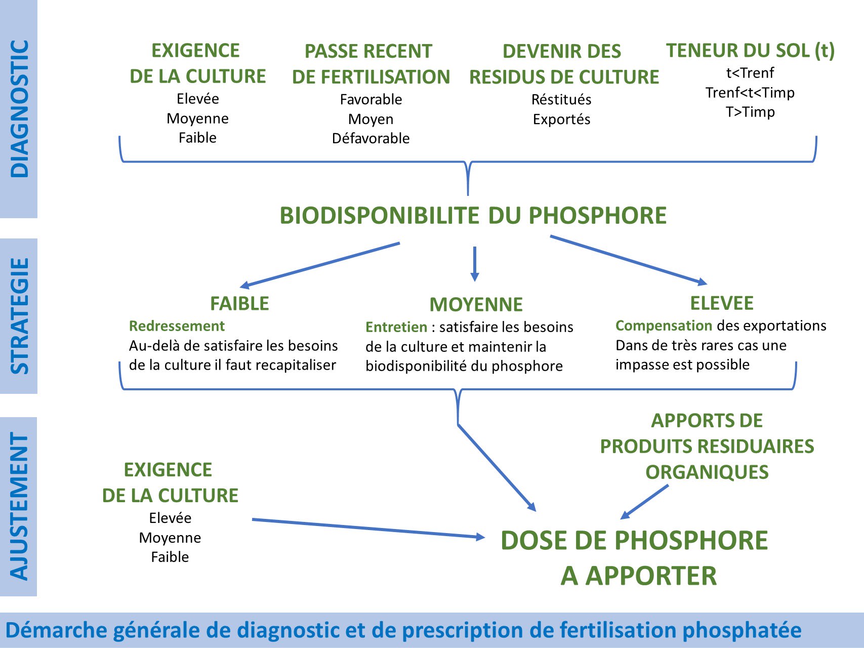 Phosphore : le raisonner comme un capital | Aladin.farm