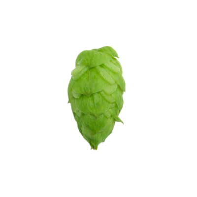 Pellets, T90 Hop Pellets - Citra - COUNTRY MALT