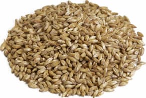 Malt | Brewing Ingredients | Country Malt Group