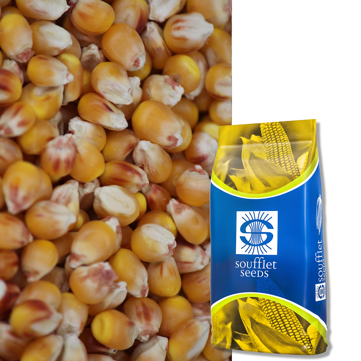 Comment acheter sur Farmi? | Farmi