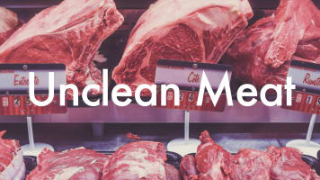 Adventist Learning Community