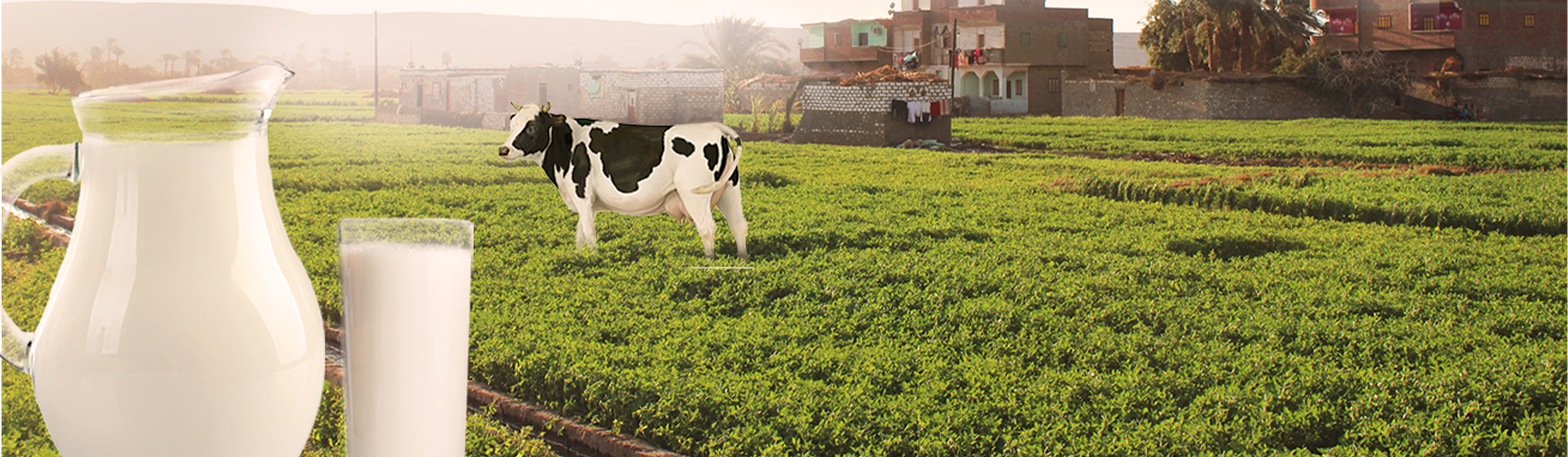 Milk Collection Centers Finance | ALEXBANK