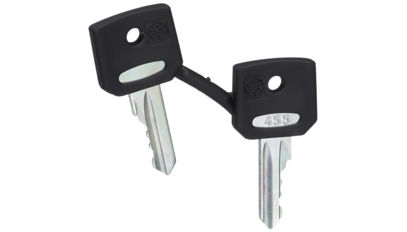 Schneider Electric ZBG455 Two Replacement Keys, 22mm Push Button, 455 ...