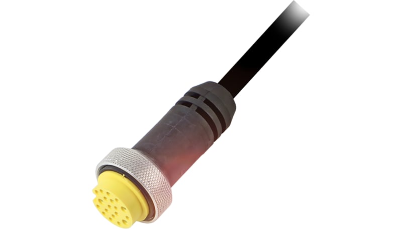 Balluff BCC0A5U Connector/cable, Female 1 1/8 in. , PUR, 2.00 m