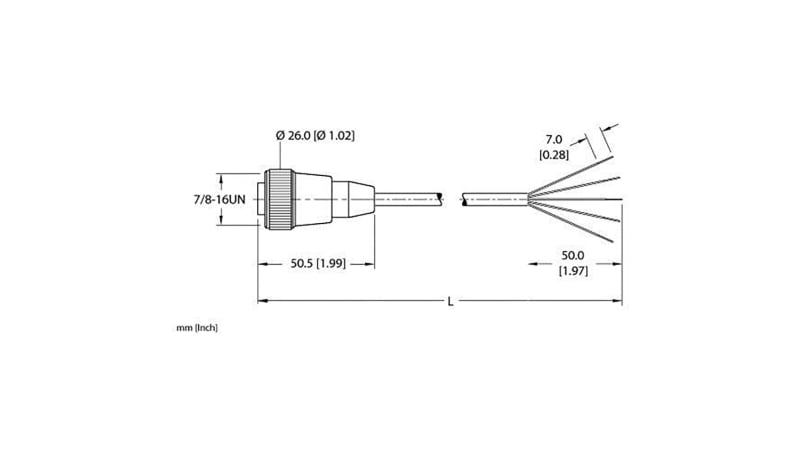 Turck RKM 50-0.6M Cordset, RKM 50-0.6M, U-02798