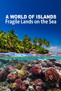 A World of Islands, Fragile Lands on the Sea(2025)|allrites:A World of ...