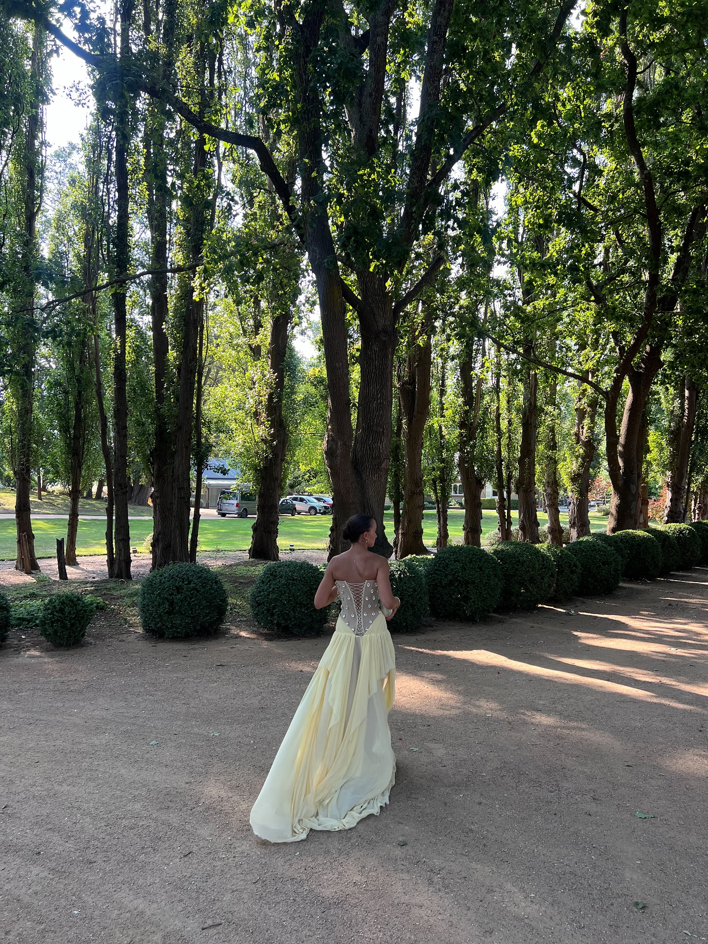 Oxa Couture - Aurelia Gown - Lemon | All The Dresses