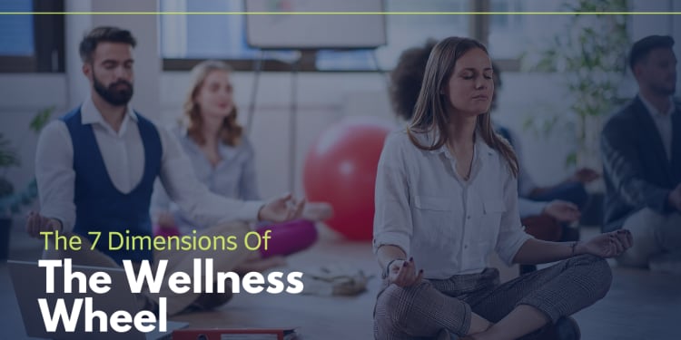 What Is The Wellness Wheel? Here’s How It Can Help You Lead A Plentiful ...
