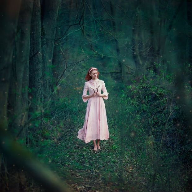 Pini Hamou Photography - פיני חמו צילום