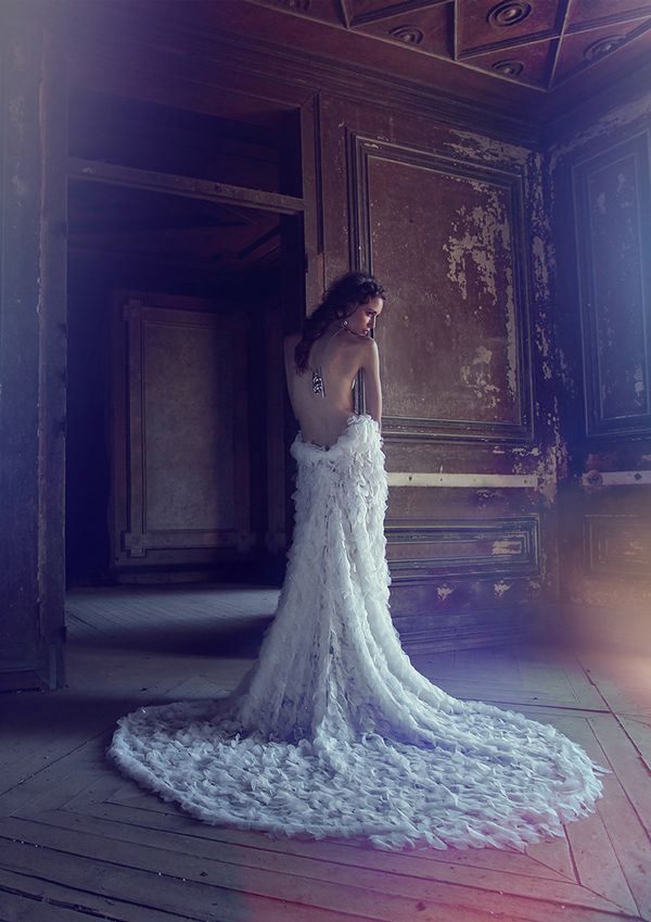 JOSE FERREIRA PHOTOGRAPHER